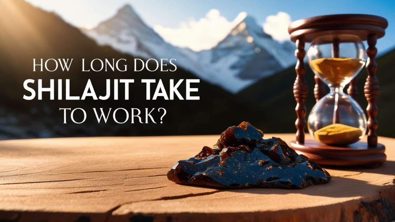 How Long Does Shilajit Take To Work? The Complete Timeline Backed By ...